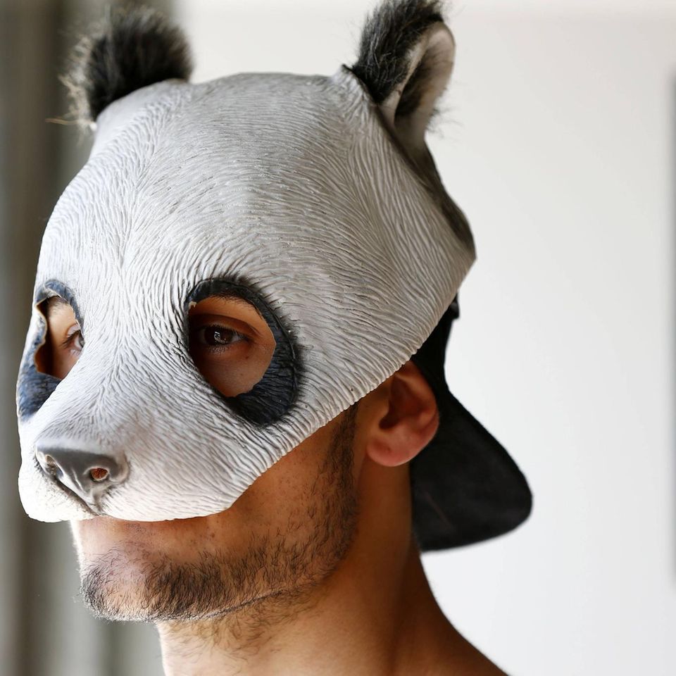 Alle Infos & News zu Cro | VIP.de