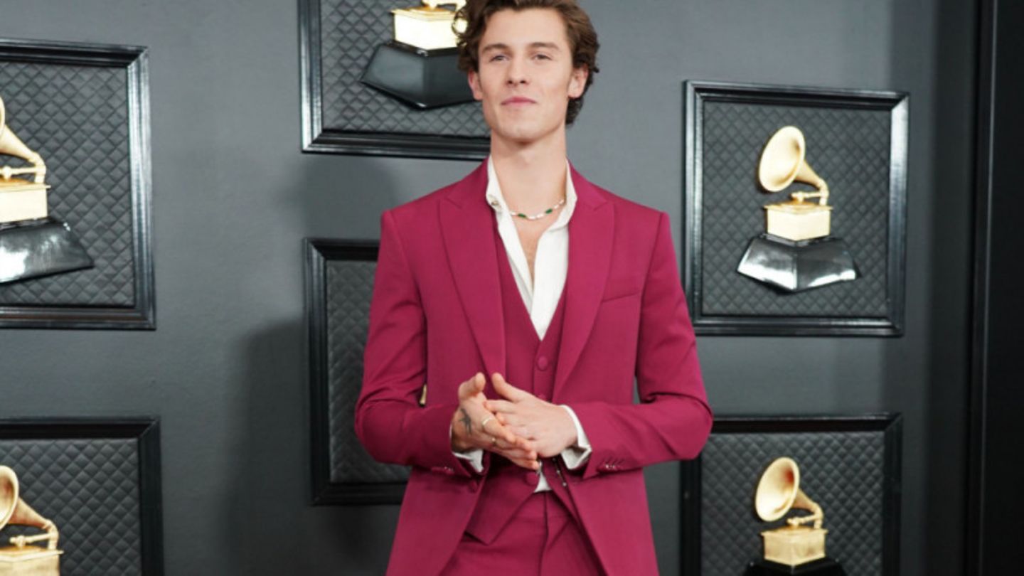 Shawn Mendes: Hohe Erwartungen an sich selbst