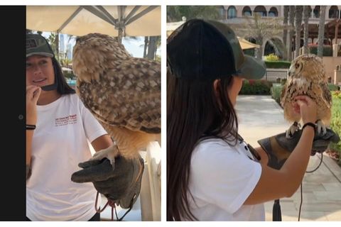 Elyas M'Barek: Mutig! Neue Aufnahmen von Ehefrau Jessica Riso