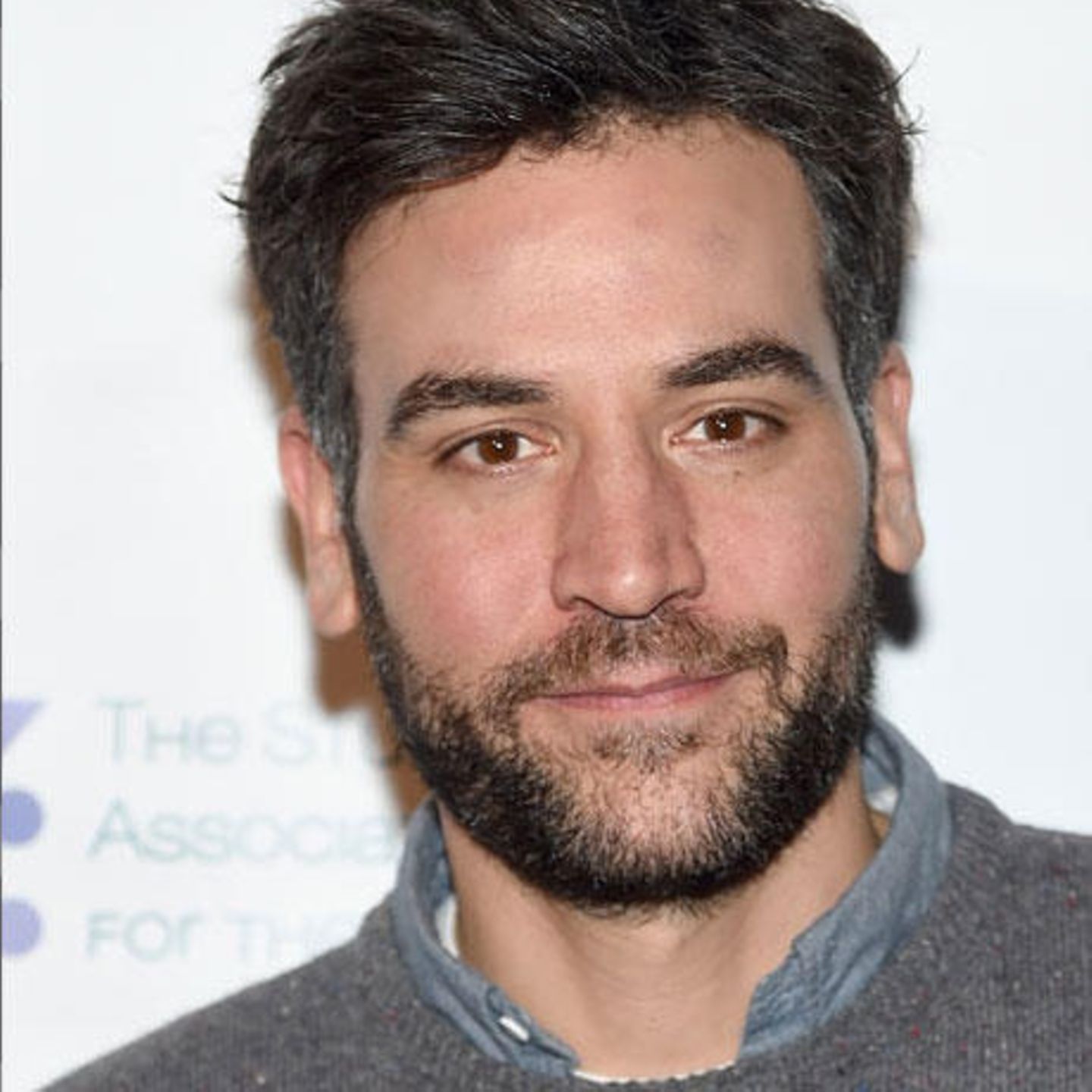 Josh Radnor And Marisa Tomei