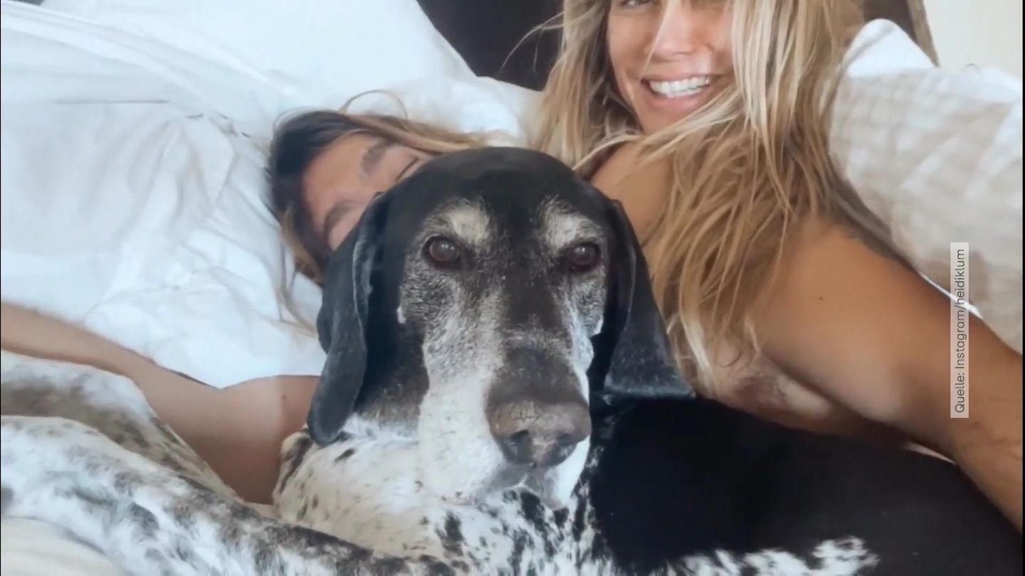"Für immer in unseren Herzen": Heidi Klum & Tom Kaulitz trauern um Hund Capper | Video | VIP.de